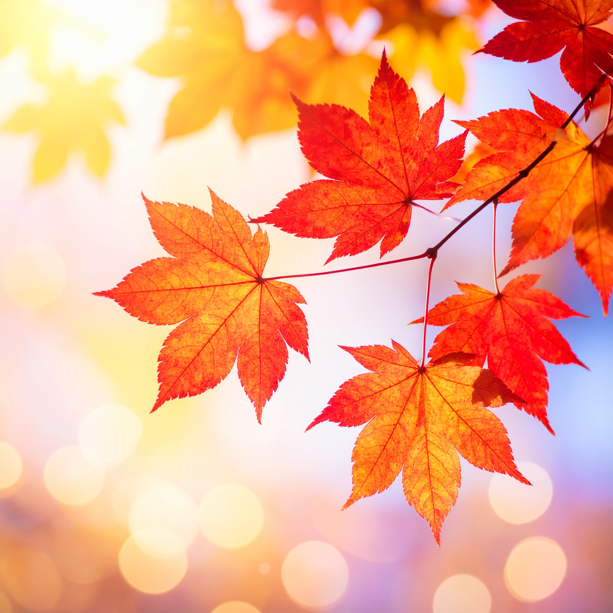 KEHAI – 音が作り出す、気配まとう空間。